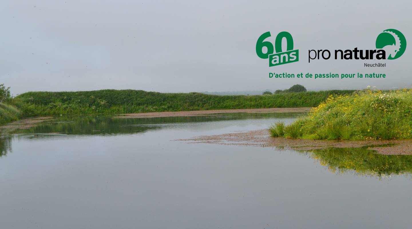 Pro Natura Neuchâtel fête la biodiversité | Pro Natura